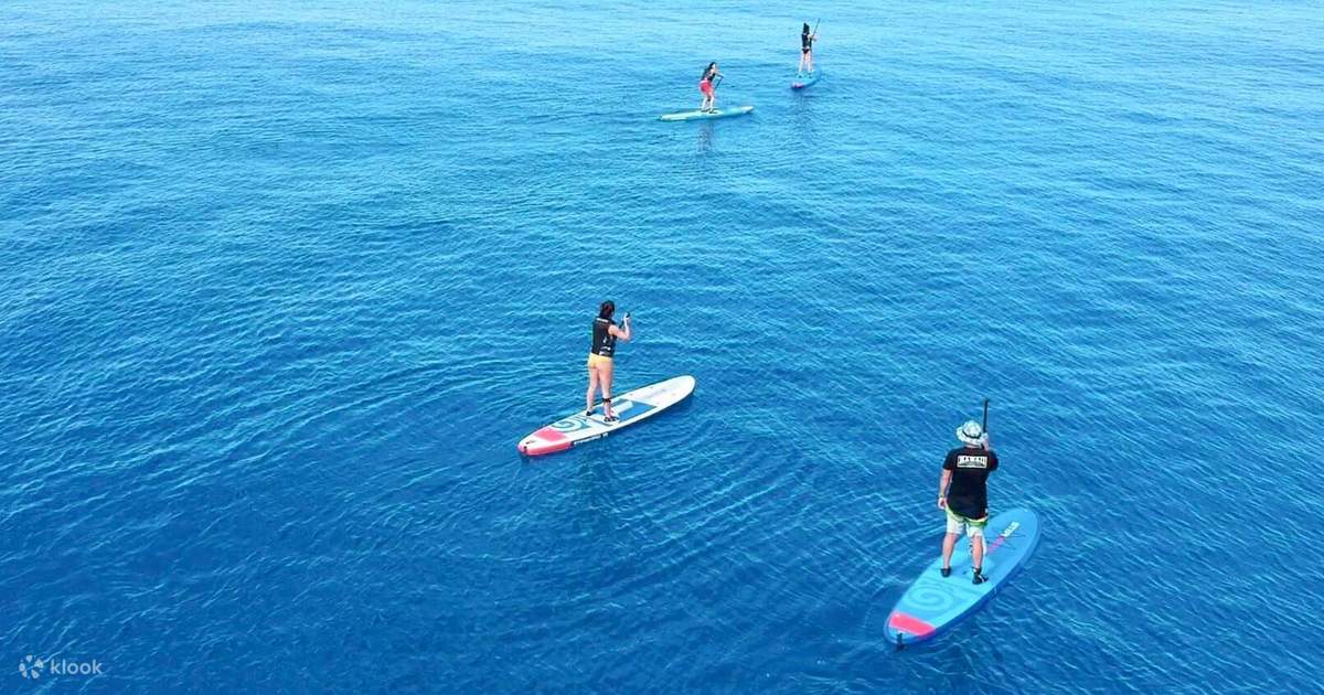 【蘭嶼 Sup】台東蘭嶼 Sup 立式划槳體驗 Klook 客路
